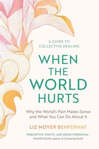 When the World Hurts by Liz Moyer Benferhat Review